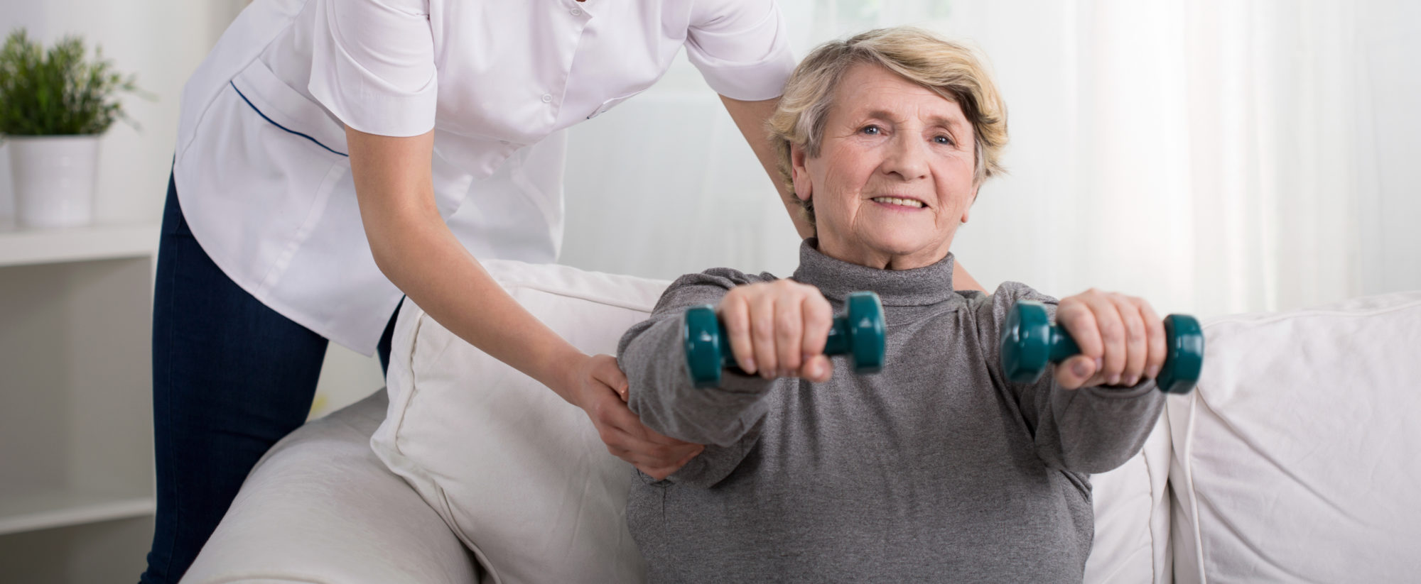 Over Neuronet - Neuronetwerk